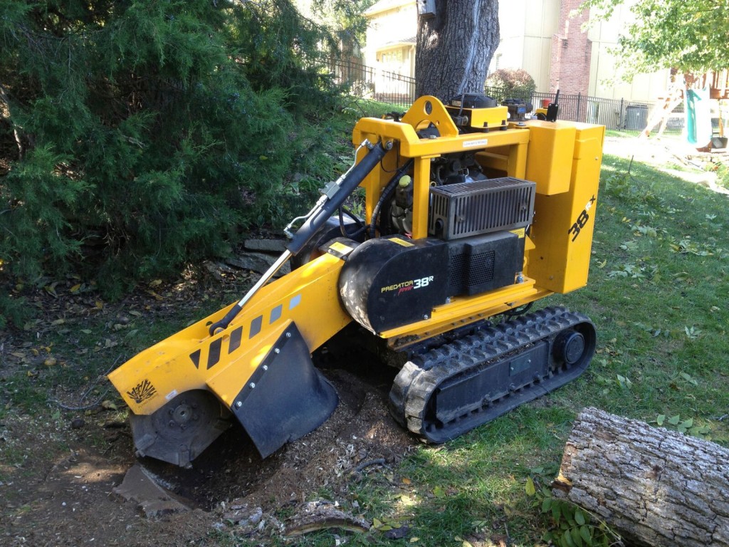 Remote Controlled Stump Grinder - Hendrickson Tree Care Kansas City, MO